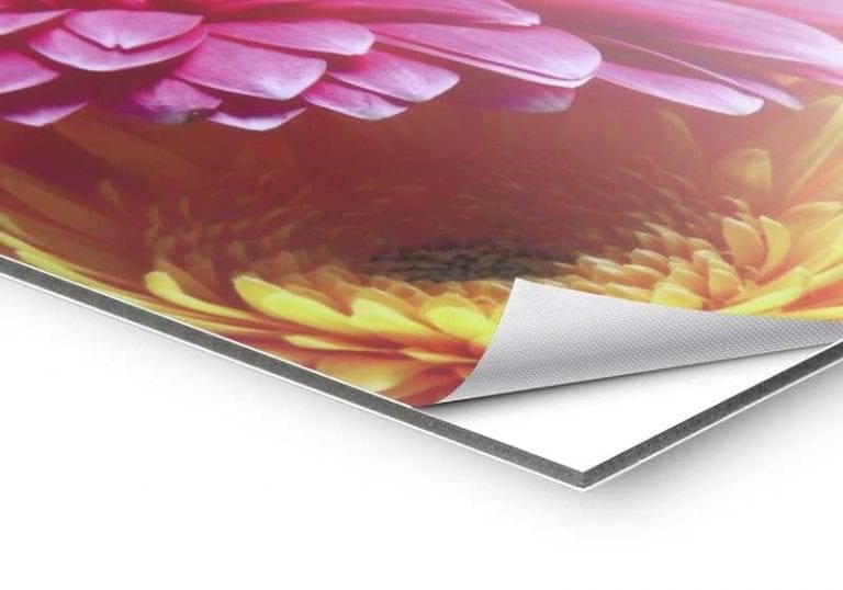 Rigid Substrate Printing & Mounting | Traditional Print Mounting Services